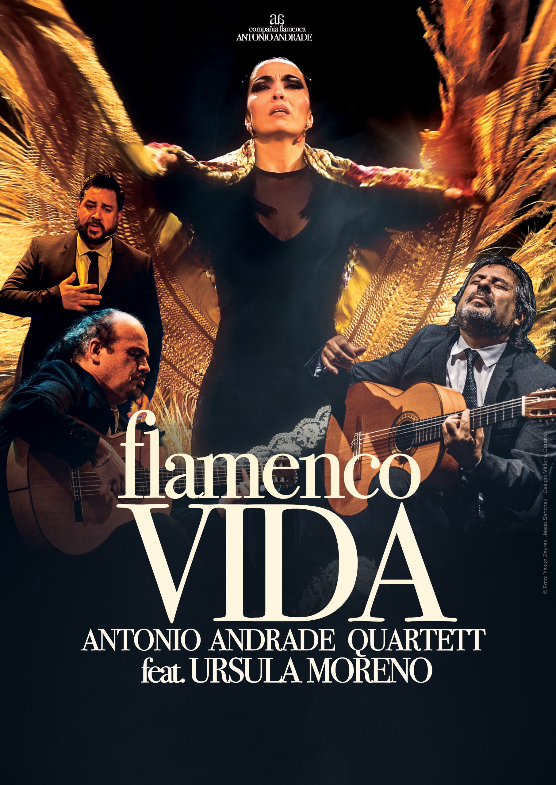 Flamenco Vida 23/11/13 - Kulturzentrum Linse